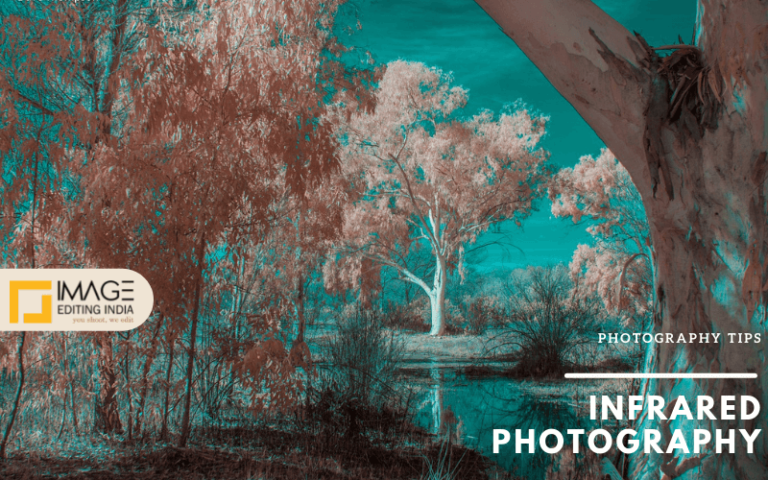 What is Infrared Photography? 3-Step Guide for Beginners in Infrared ...